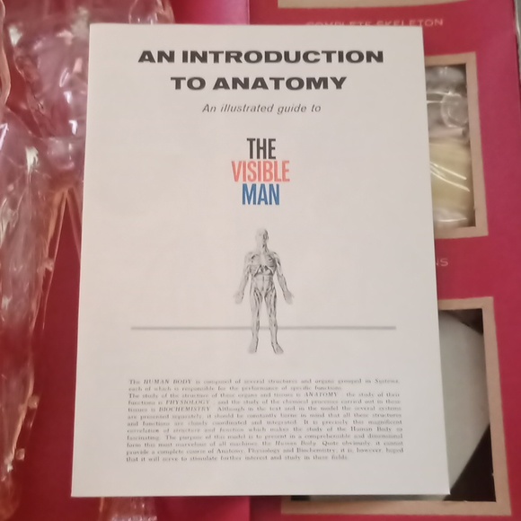 Renewal | Other | Vintage The Visible Man Science Anatomy Project ...